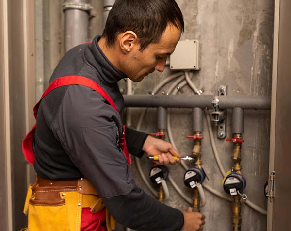 Apollo Engineering & Services Ltd